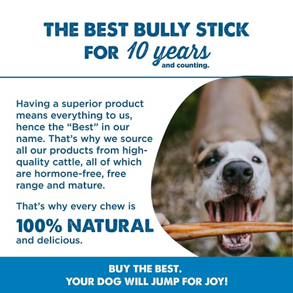 Best Bully Sticks 6 Inch All-Natural Bully Sticks for Dogs - 6” Fully Digestible, 100% Grass-Fed Beef, Grain and Rawhide Free | 15 Pack