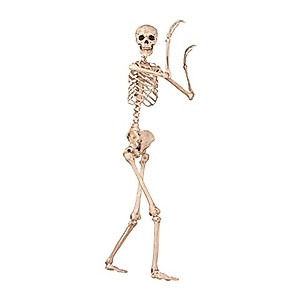 Crazy Bonez Pose-N-Stay Skeleton