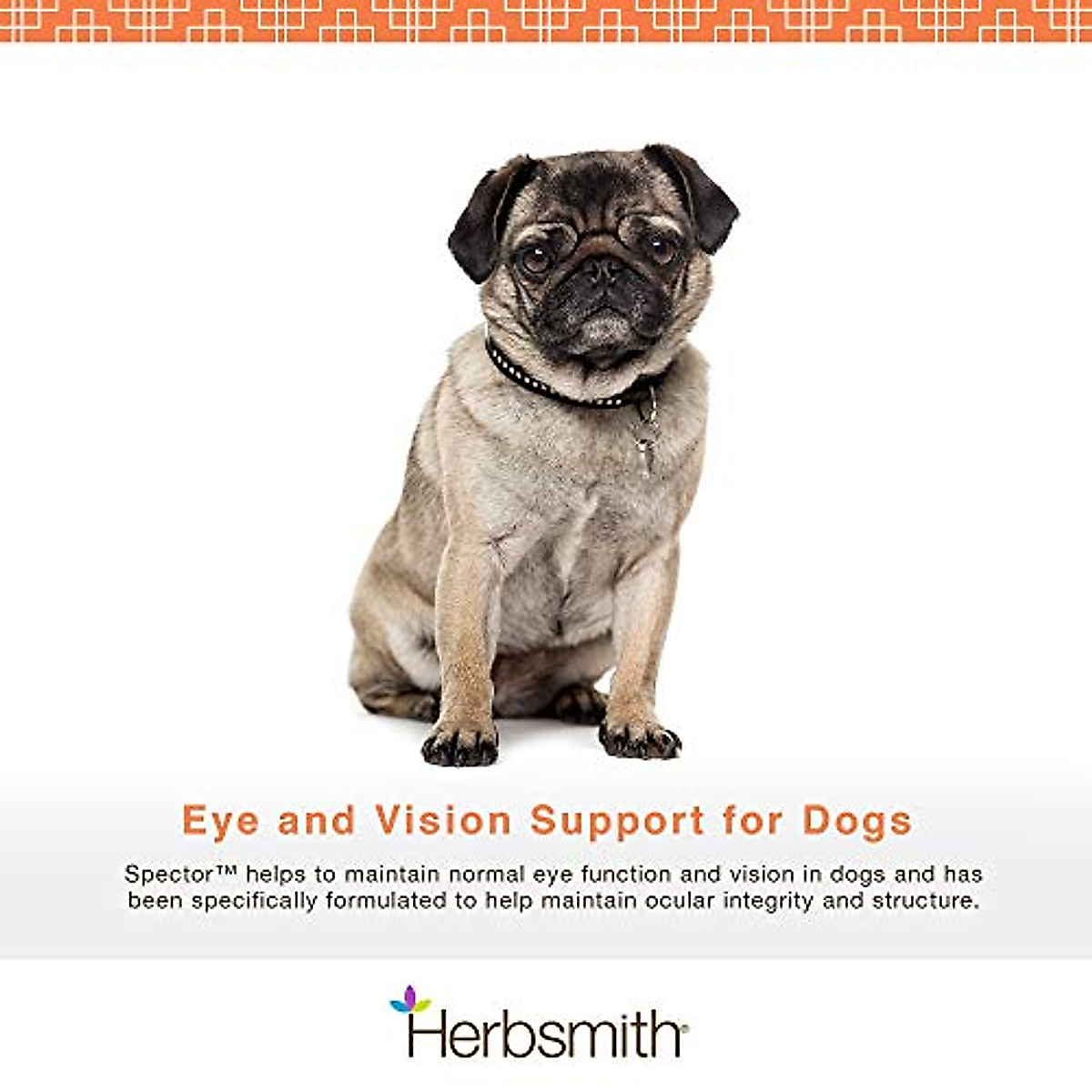 Herbsmith Spector - Eye and Vision Support for Dogs - Repair Greying to The Eyes - Senior Supplement for Dogs - Antioxidant for Dogs - 60ct Small Chews