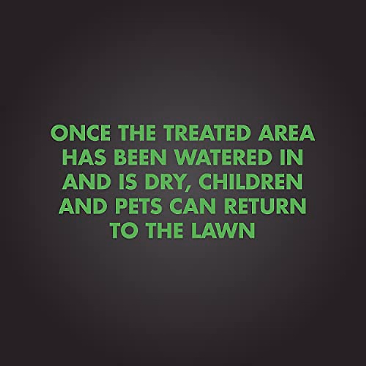 Spectracide Triazicide Insect Killer For Lawns Granules, 10 lb Bag (Pack of 4) , Kills All Listed Lawn-Damaging Insects