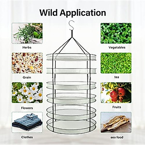 iPower GLDRYRD3L6V1 3ft 6 Layers Collapsible Breathable Mesh Herb Drying Rack for Buds & Hydroponic Plants with Sturdy Support, Heavy Duty Hang Dryer Net