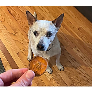 TV's Deli & Diner Best's Dog Chews Sweet Potato Chews for Dogs