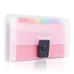 REEMTOO Accordian File Organizer, Coupon Organizer, Folder Organizer Mini Organizer Wallet for Coupons, Receipts, Cash, Tax Item or Changes,7x4.5 in 13 Pockets with Tabs Check Case(Caise)