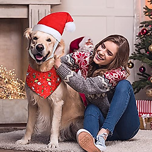 Christmas Dog Bandanas Hat Set 4 Pieces Christmas Dog Bandana Adjustable Pet Triangle Scarf and 2 Pieces Pet Santa Hat Dog Christmas Hat for Pets Dogs Cats Christmas Costumes (Santa Patterns, Large)