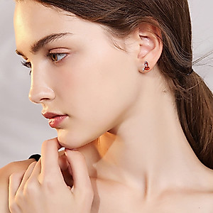 Fox Earrings Gifts Sterling Silver Cute Kitsune Fox Stud Earrings Jewelry Prom Earrings Christmas Gifts for Women Teen