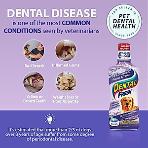 Dental Fresh Advanced Plaque and Tartar Water Additive, 8oz – Dog Teeth Cleaning Formula to Freshen Breath and Improve Overall Oral Health