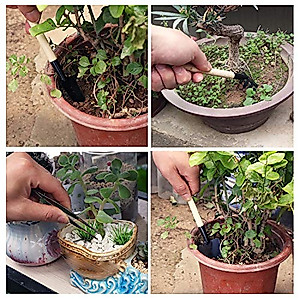 Sanlykate Bonsai Tool Kit 8pc, Basic Trimmer Set Include Pruner, Fold Scissors, Tweezer, Spades, Rake