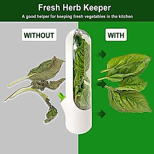 KaiZay Herb Saver fridge organizers and storage fruit containers for herbs container refrigerator produce vegetable cilantro professional kitchen gadgets jars fresh parsley asparagus basil thyme