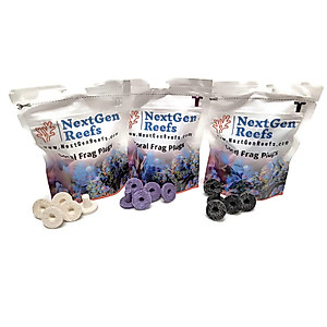 NextGen Reefs® 1" Ceramic Hawaiian Black Coral Frag Plugs 25pc