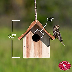 Perky-Pet 50301 Wren Home Birdhouse