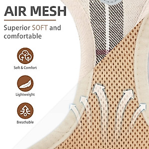 PUPTECK Adjustable Pet Harness Collar &Leash Set Step in for Small Dogs Puppy &Cats Outdoor Training &Running, Soft Mesh Padded Reflective Vest Harness,M: Chest girth: 16-18in Collar: 11.8-15.7in