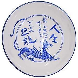 Mino Ware Rice Bowl Set, 4.8 inch, Dragon Design, Indigo Blue, Japanese Ceramic Bowls, 6.8 oz, Set of 2