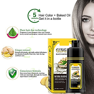 500ml Ginger Black Hair Shampoo, Ginger Shampoo Fast Black Hair Hair Color Dye Nourishing Shampoo, 2-in-1 Semi Permanent Shampoo Last 30 days,5 Minutes Finsh