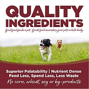 NutriSource Dog Food, Made with Beef and Brown Rice, Wholesome Grains, 5LB, Dry Dog Food