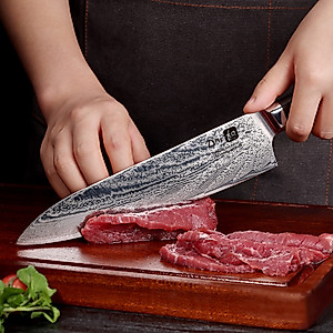 Dnifo Japanese Chef Knife 8-inch AUS-10 73-layer Damascus Stainless Steel Full Tang Non-stick Blade Kitchen Knife, Ergonomic Wooden Handle with Gift Box