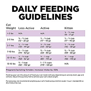 GO! SOLUTIONS Carnivore Grain Free Dry Cat Food, 3 lb - Chicken, Turkey + Duck Recipe - Protein Rich Dry Cat Food - Complete + Balanced Nutrition for All Life Stages