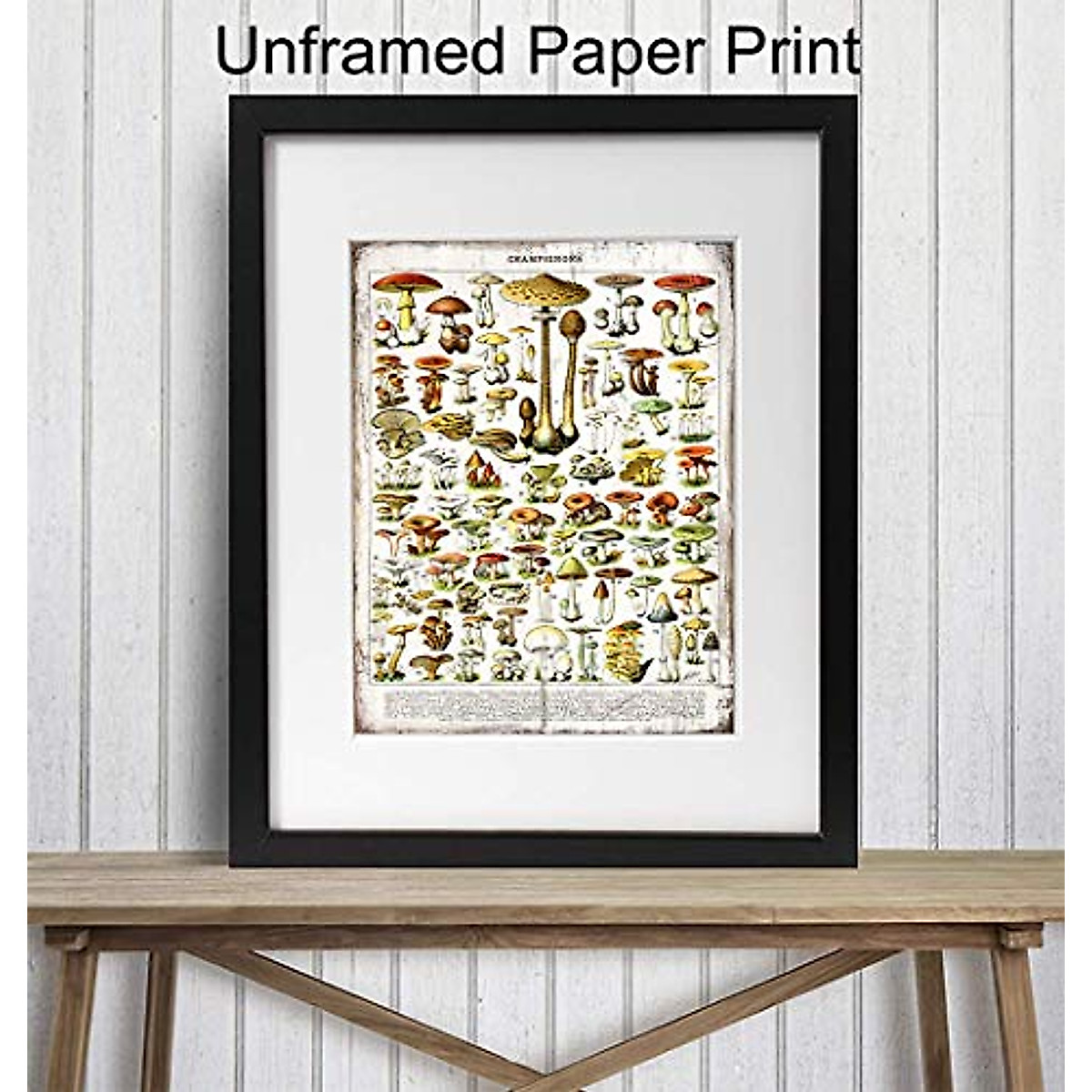 Dining Room, Kitchen Decor - Rustic Vintage Botanical Mushrooms Chart - Larousse Gastronomique Sign Photo Wall Art for Cafe, Restaurant - Unique Housewarming Gift -8x10 Boho Farmhouse Style