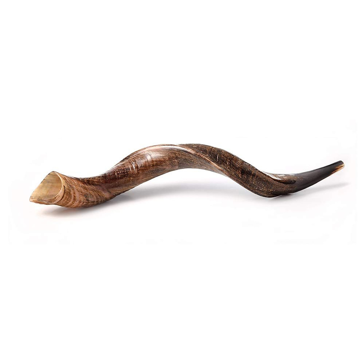SHOFAR Full Natural Kosher Kudu Horn 40''-42" + Bag + Guide + Spray by Yaliland