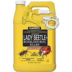 HARRIS Asian Lady Beetle, Japanese Beetle, and Box Elder Killer, Liquid Spray with Odorless and Non-Staining Extended Residual Kill Formula (Gallon)