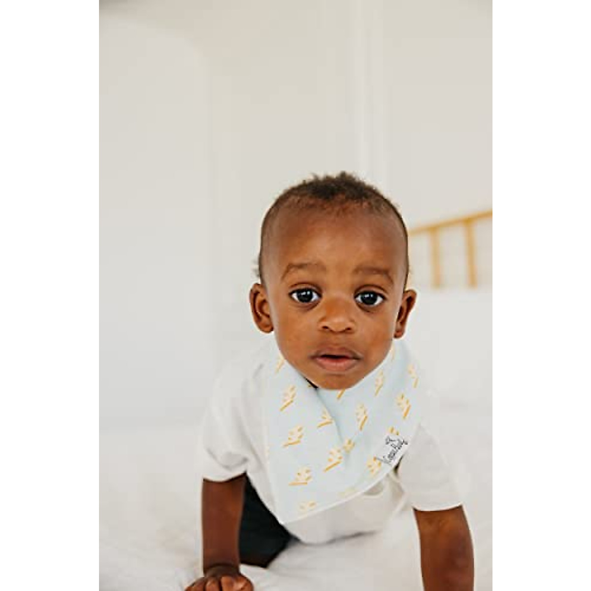 Copper Pearl Baby Bandana Drool Bibs for Drooling and Teething 4 Pack Gift Set Vance, Soft Set of Cloth Bandana Bibs for Any Baby Girl or Boy, Cute Registry Ideas for Baby Shower Gifts