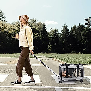 VOISTINO Double Compartment Pet Carrier with Detachable Wheels for Cat/Dog, Rolling Carrier for 2 Small Cats/Dogs, Super Ventilated Design, Ideal for Traveling/Walking/Camping