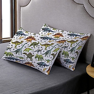 BailiPromise Dinosaur Duvet Set Twin Size,Jurassic Dino 3 Piece Bedding Set,Boys Comforter with Pillow Shames, for All Seasons, Ultra-Soft, Lightweight, Breathable