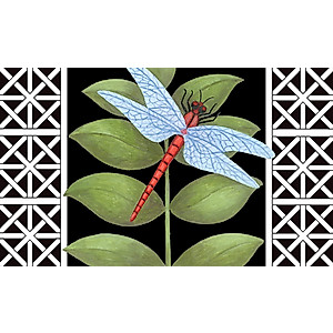 Toland Home Garden 800053 Dragonfly On Black Summer Door Mat 18x30 Inch Spring Outdoor Doormat for Entryway Indoor Entrance