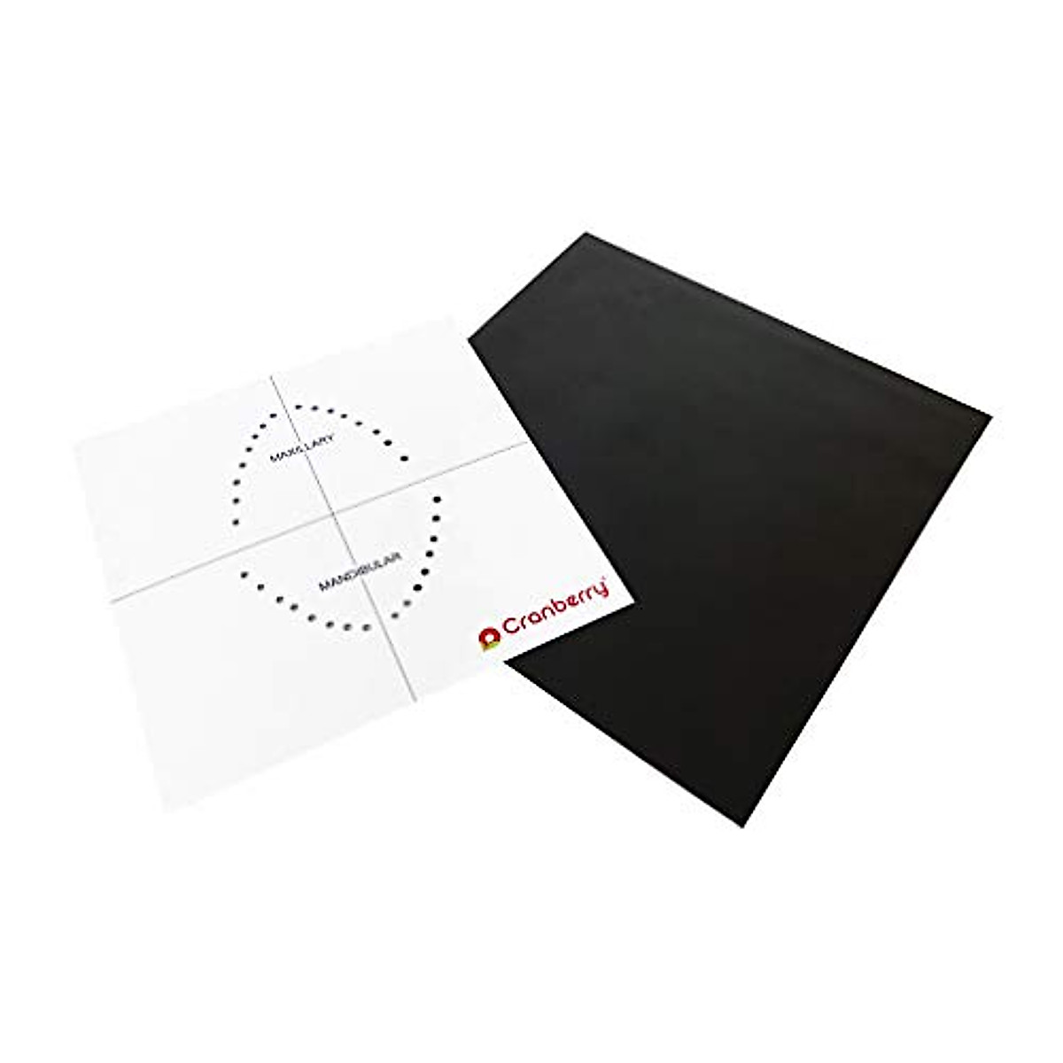 Cranberry USA CR8266 Carbon Dental Dam Latex Powder-Free, Spearmint Scented, 6x6, Black (Pack of 36)