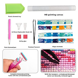 DCIDBEI Diamond Painting Kits 4 Pack 12x16inch Sexy Diamond Painting Angel Diamond Art Women Sexy Rose Diamond Painting for Adults Women Fairy Diamond Painting Art Sexey Woman Trippy Diamond Painting