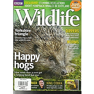 BBC WILD LIFE MAGAZINE, MARCH, 2017 VOL. 35 NO. 3 HAPPY HOGS