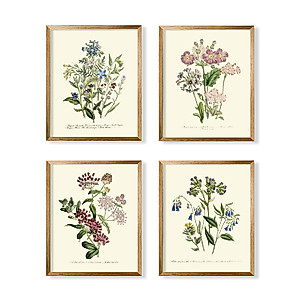 Watercolor Vintage Flower Poster Print - Primitive Green Magnolia Leaves Pictures Gallery Gift - Rustic Modern French Country Cottagecore Wall Art - Farmhouse Plant Botanical Floral Kitchen Room Decor