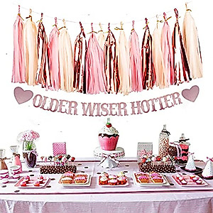 Rose Gold Older Wiser Hotter Decorations, Glitter Funny Birthday Banner and Tissue Paper Tassels Garland for Girls Women Birthday Party Decorations