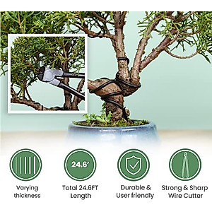 Bonsai Tools Set with Wood Box 12PCS Heavy Duty Bonsai Tree Kit, Trimming Scissor Shears, Concave Cutter, Wire Rolls, Wire Cutter and More, Gardening Bonsai Pruning & Care Kit
