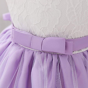 Dressy Daisy Baby Girls Wedding Flower Girl Lace Dress with Headband Special Occasion Pageant Birthday Party Dresses Size 6-12 Months Purple 426