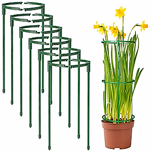 12Packs Plant Support Stakes Half Round Plant Stakes for Indoor Plants, Stackable 3 Tier Garden Flower Support, Plant Cages for Tomato,Monstera, Peony, Hydrangea, Climbing Plants