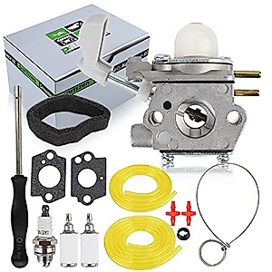 partszen 308054114 308054075 Carburetor for Homelite Carburetor Fits for 26B Leaf Blower UT09526 with Carburetor Adjusting Tool Air Filter