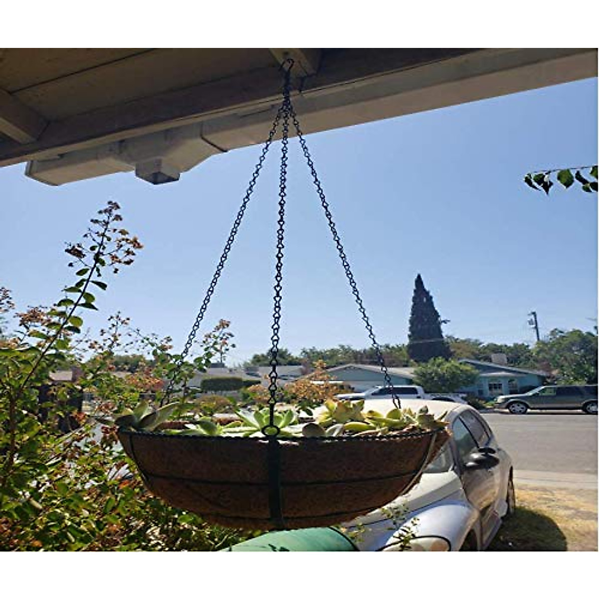 Tosuced Hanging Chains 156 Inches for Bird Feeders, Billboards, Chalkboards, Planters and Decorative Ornaments（ Black ，10 Hooks ）