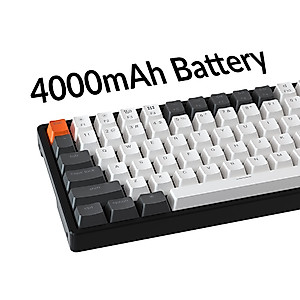 Keychron K2 75% Layout 84 Keys Hot-swappable Bluetooth Wireless/USB Wired Mechanical Keyboard with Gateron G Pro Blue Switch/Double-Shot Keycaps/RGB Backlight/Aluminum Frame for Mac Windows Version 2