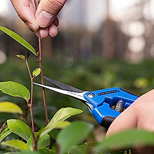 FIXSMITH 6.5" Pruning Shears | 1 Pack | Garden Shears | Straight Stainless Steel Blades Gardening Tools | Gardening Hand Pruner | Precision Garden Tools | Blue Color.