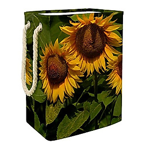 Inhomer Sunflower Three Flower Plant Supplies Yellow Large Laundry Hamper Waterproof Collapsible Clothes Hamper Basket for Clothing Toy Organizer, Home Decor for Bedroom Bathroom