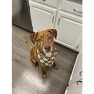 Fall Dog Bandana, Thanksgiving Dog Bandanas, Autumn Reversible Washable Plaid Triangle Bibs Scarf for Small Medium Large Pets Dogs Cats