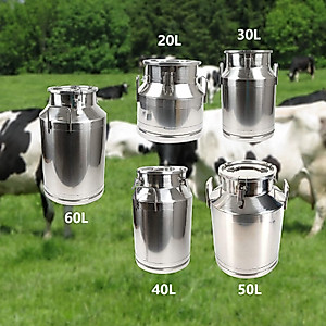 JAYEUW 20L Stainless Steel Milk Can, 5 Gallon Heavy Duty Milk Jug Milk Bucket, Old Fashion Milk Jug Vases, Silicone Sealed, Milk Wine Liquid Container Storage, 20 Liters/5 Gallon (US Stock)