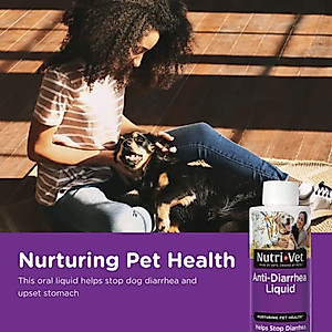 Nutri-Vet Anti-Diarrhea Liquid for Dogs - Helps Sooth Upset Stomach & Stop Diarrhea - Veterinarian Formulated - 4 oz