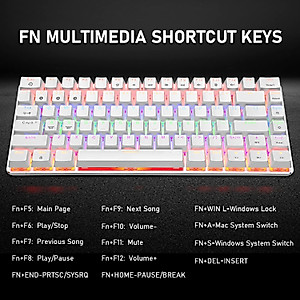 LexonElec Wireless Mechanical Keyboard,Two Mode BT5.0/USB-C 82 Keys Bluetooth Mechanical Keyboard,Rainbow LED Backlit,Compact Gaming Keyboard for Windows Mac PC Gamer(White)