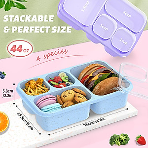 TEVIKE Bento Lunch Box for kids-4 Pack, Meal Prep Container Microwave Safe, Lunch Box of 4-Compartment, Bento Box Adult Lunch Box, Snack Box Containers (White/Green/Pink/Cyan)