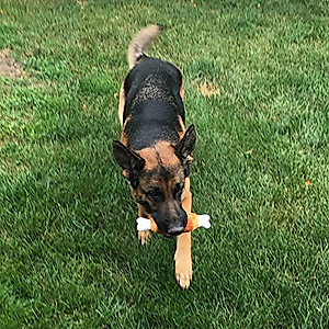 Jalousie 12 Pack Plush Animal Dog Toy Dog Squeaky Toys Cute Pet Plush Toys Stuffed Puppy Chew Toys for Small Medium Dog Puppy Pets - Bulk Dog Toys (12 Pack Cute)