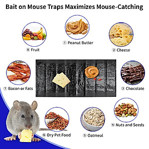 6 Pack Mixed Sizes Large Rat Traps, Heavy Duty Sticky Mouse Traps for House Indoor, Extra Strength Snake Traps for Mice Rat Snake Roach Lizard Spider Scorpion and Other Pests