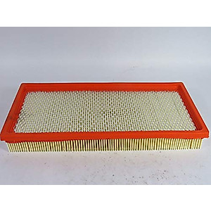 FRAM Extra Guard Engine Air Filter Replacement, Easy Install w/Advanced Engine Protection and Optimal Performance, CA3901 for Select Chevrolet, Dodge, Jeep and Mitsubishi Vehicles