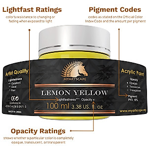 MyArtscape Acrylic Paint Set - 12 x 100ml Bottles - Artist Quality Paints - Lightfast - Heavy Body - Highly Pigmented Colors with Great Coverage - Professional Art Supplies