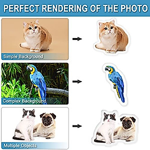 Customized Pillow - Duplex Printing Shape Photo Pillow with Pet, Idol, Face, Throw Pillow - Personalized Photo Gifts for Birthday/Mother's/Father's Day (16inches)